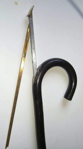 Bastoni da passeggio