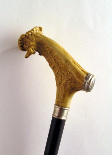 Bastoni da passeggio